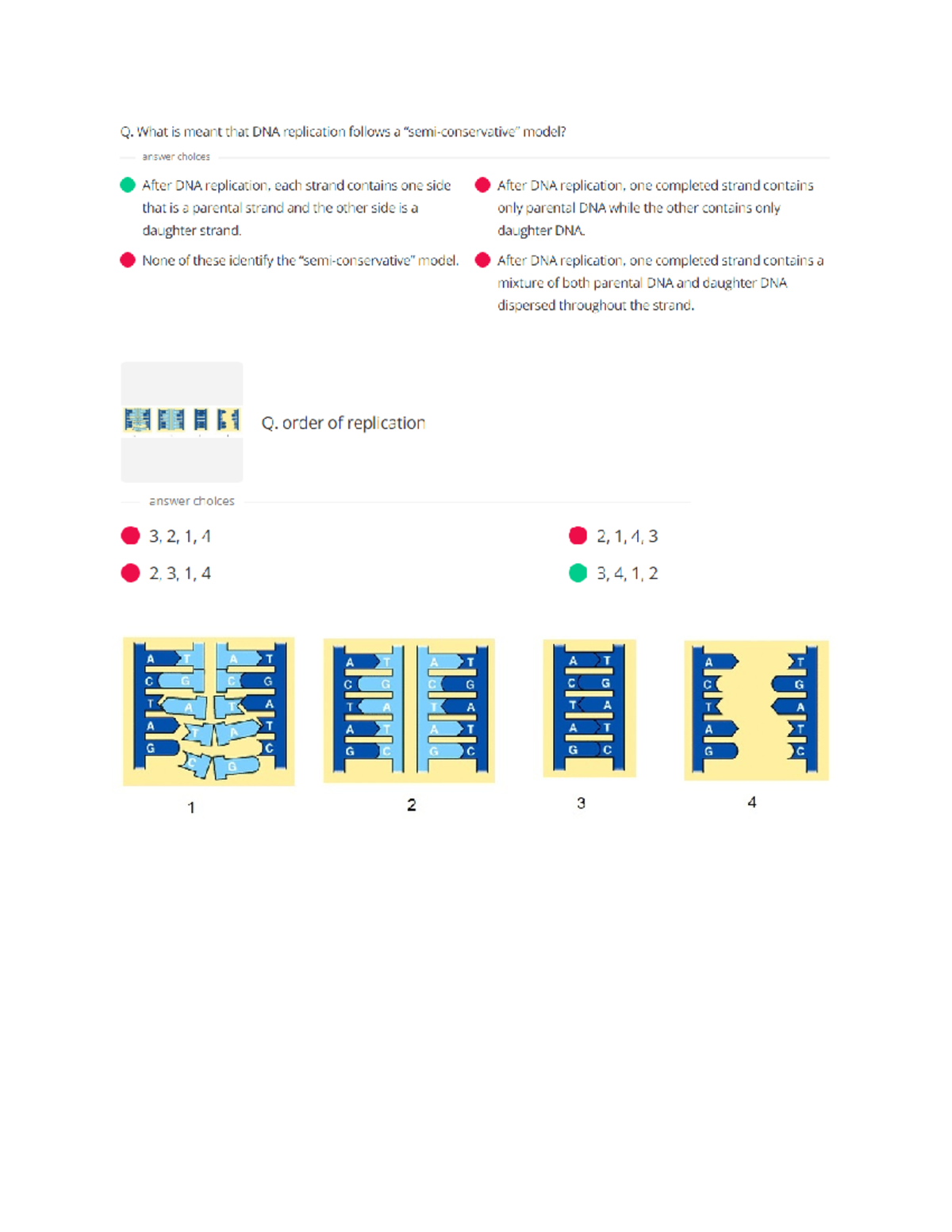 Dna replication questions - Studocu