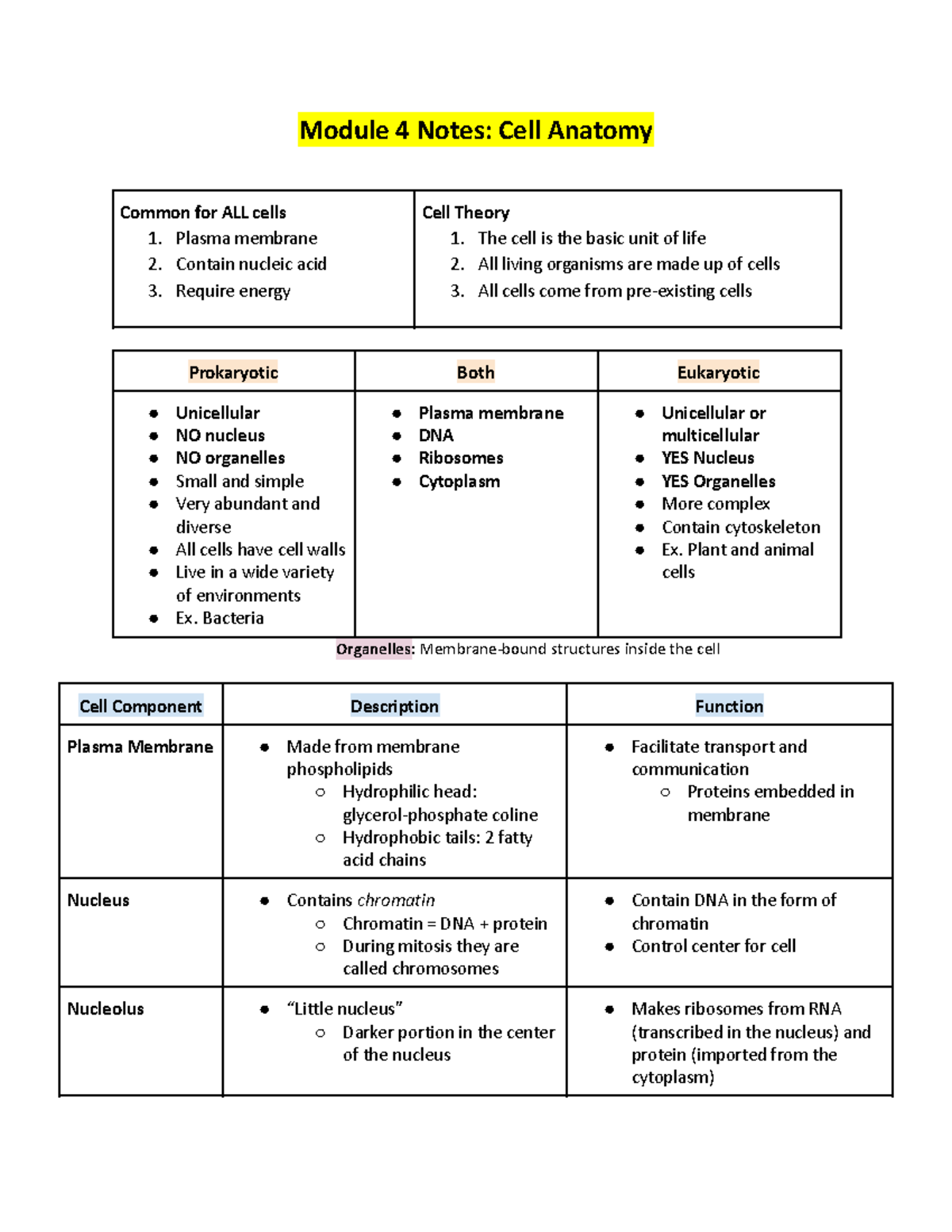 Cell Anatomy Notes.docx - Module 4 Notes: Cell Anatomy Common for ALL ...