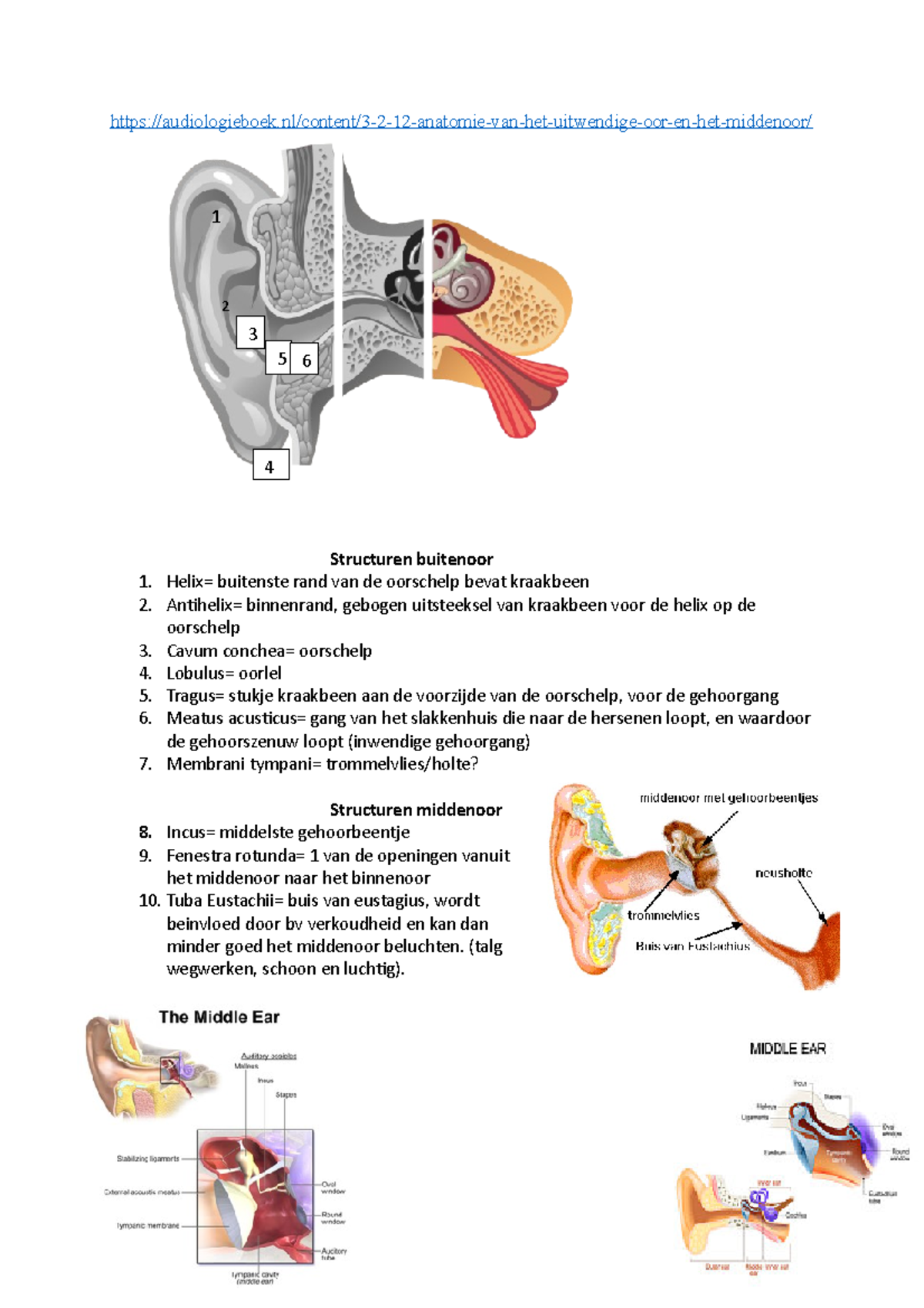 Wk 1 opdr 1.2 anatomie van het buiten, midden en binnenoor - - Studeersnel