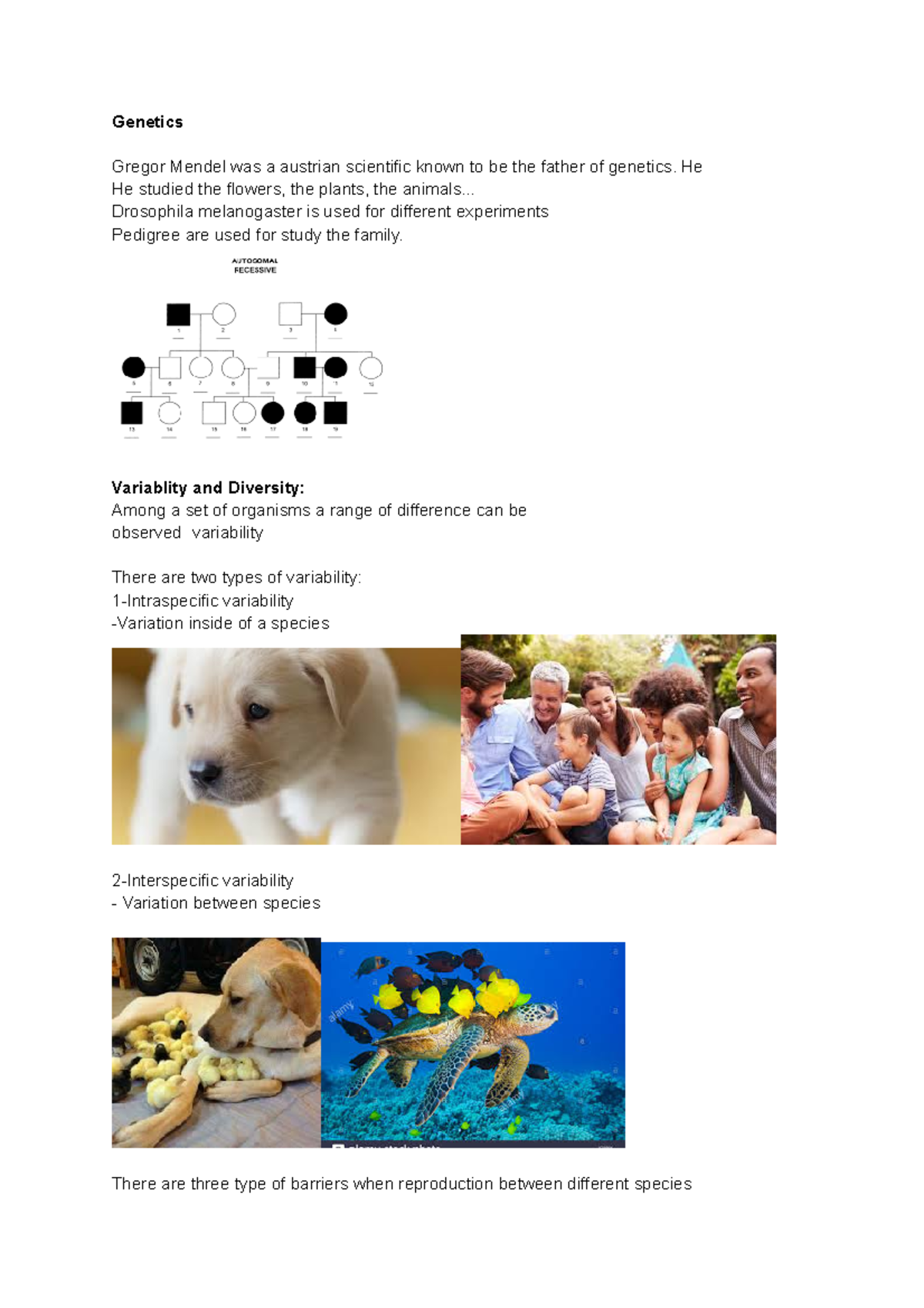 Apunts Genetic 2n Part - Genetics Gregor Mendel was a austrian ...