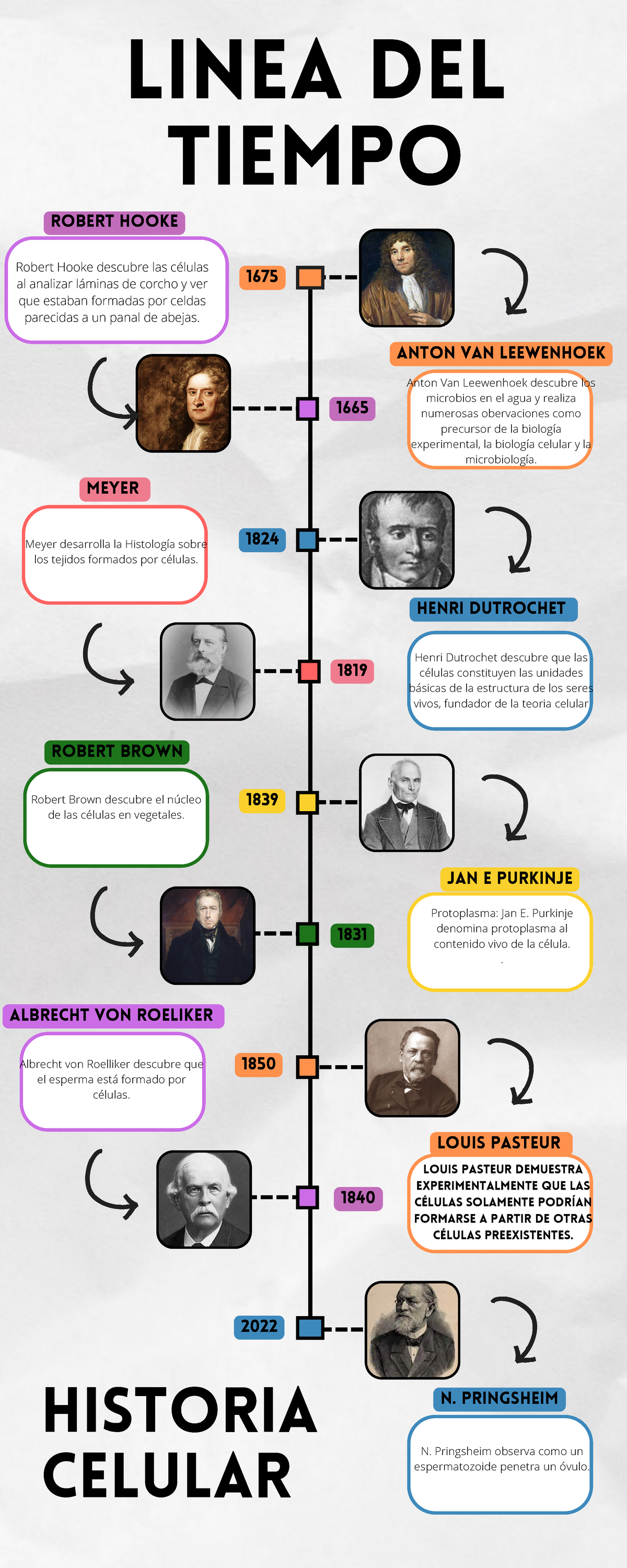 Linea del tiempo - LINEA DEL TIEMPO ROBERT BROWN Robert Brown descubre ...