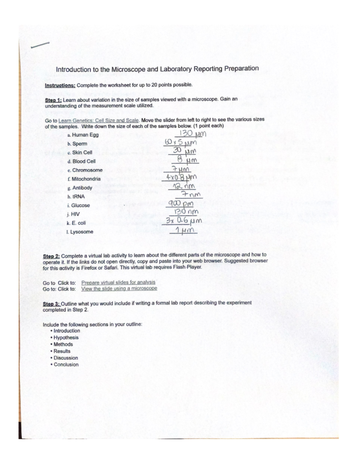 Madden Microscope Lab Work Sheet - APHY101 - Studocu