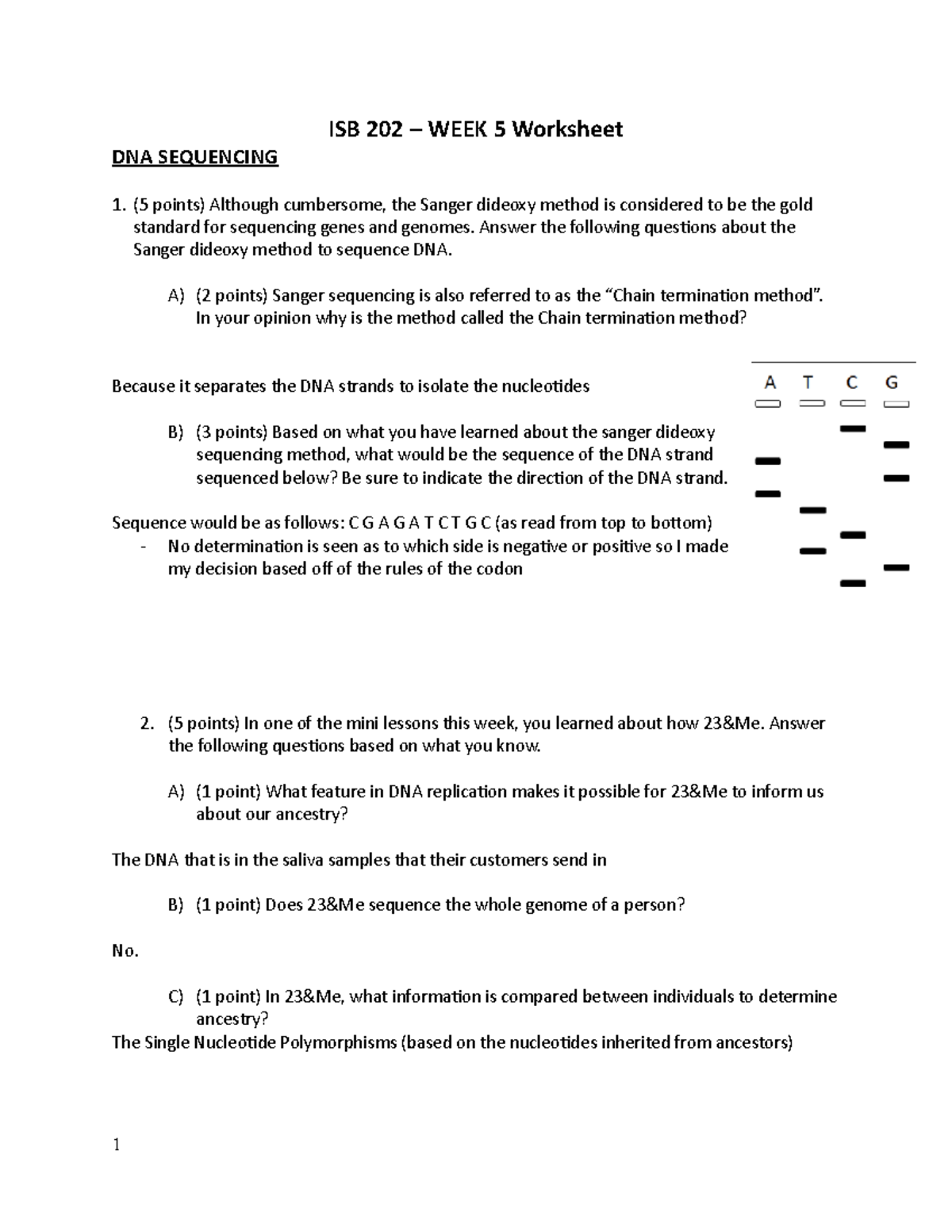 ISB 202 WEEK 5 Worksheet - ISB 202 – WEEK 5 Worksheet DNA SEQUENCING (5 ...