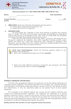 Genetics Laboratory 4 Cell Cycle and Mitosis - Laboratory Activity No ...