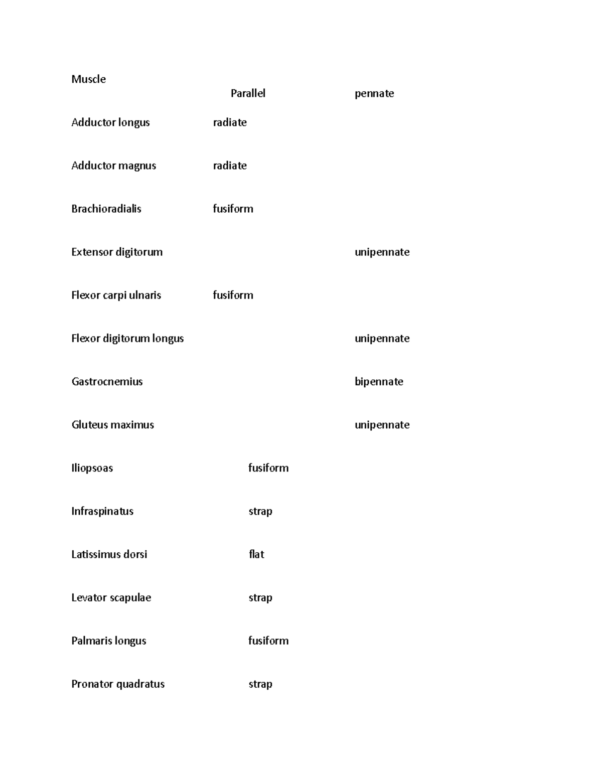 Part 1&4 lab 2 - jenrjncjnrjec - Muscle Parallel pennate Adductor ...