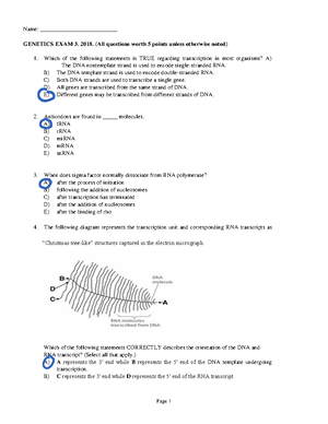 Molecular Basis OF Inheritance DNA Struc - MOLECULAR BASIS OF ...