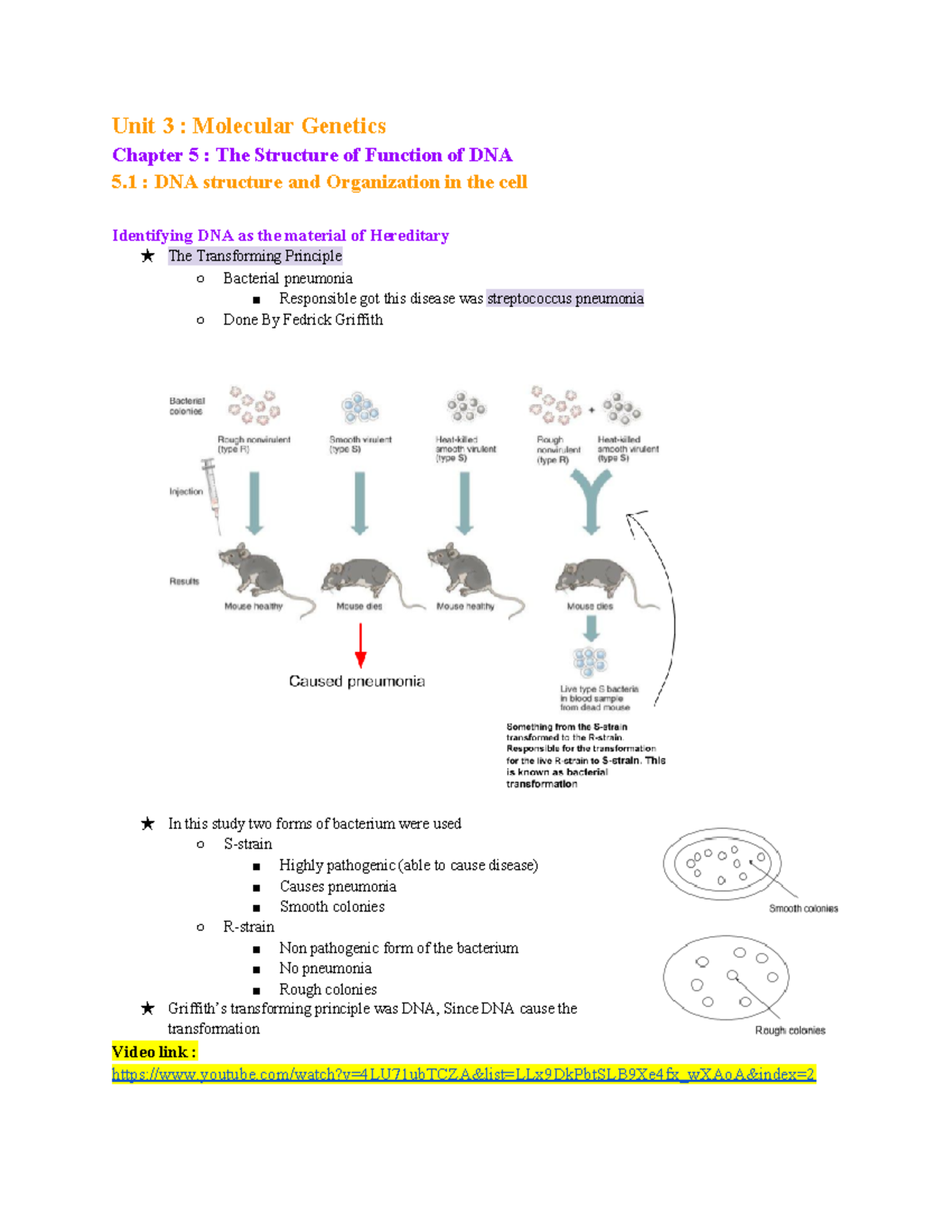 Grade 12 Biology Unit 3 - Unit 3 : Molecular Genetics Chapter 5 : The ...