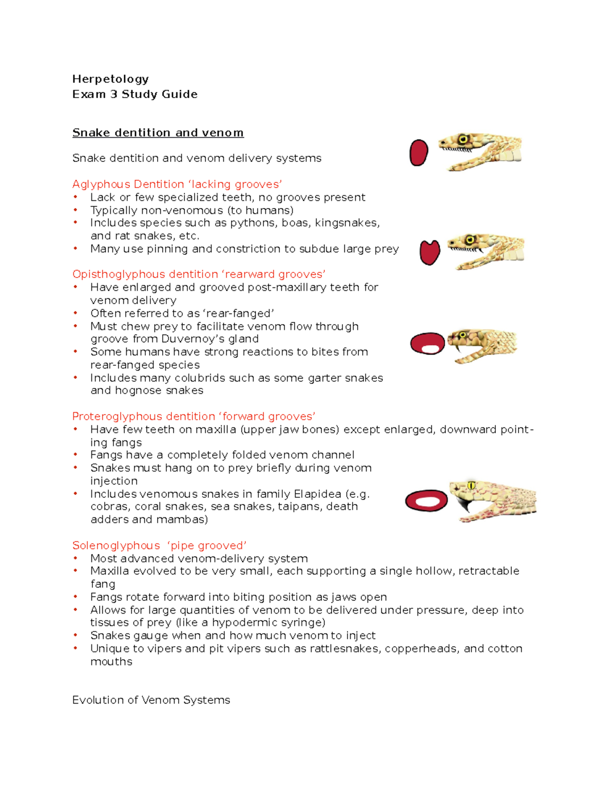 Herpetology 3 - exam review - Herpetology Exam 3 Study Guide Snake ...