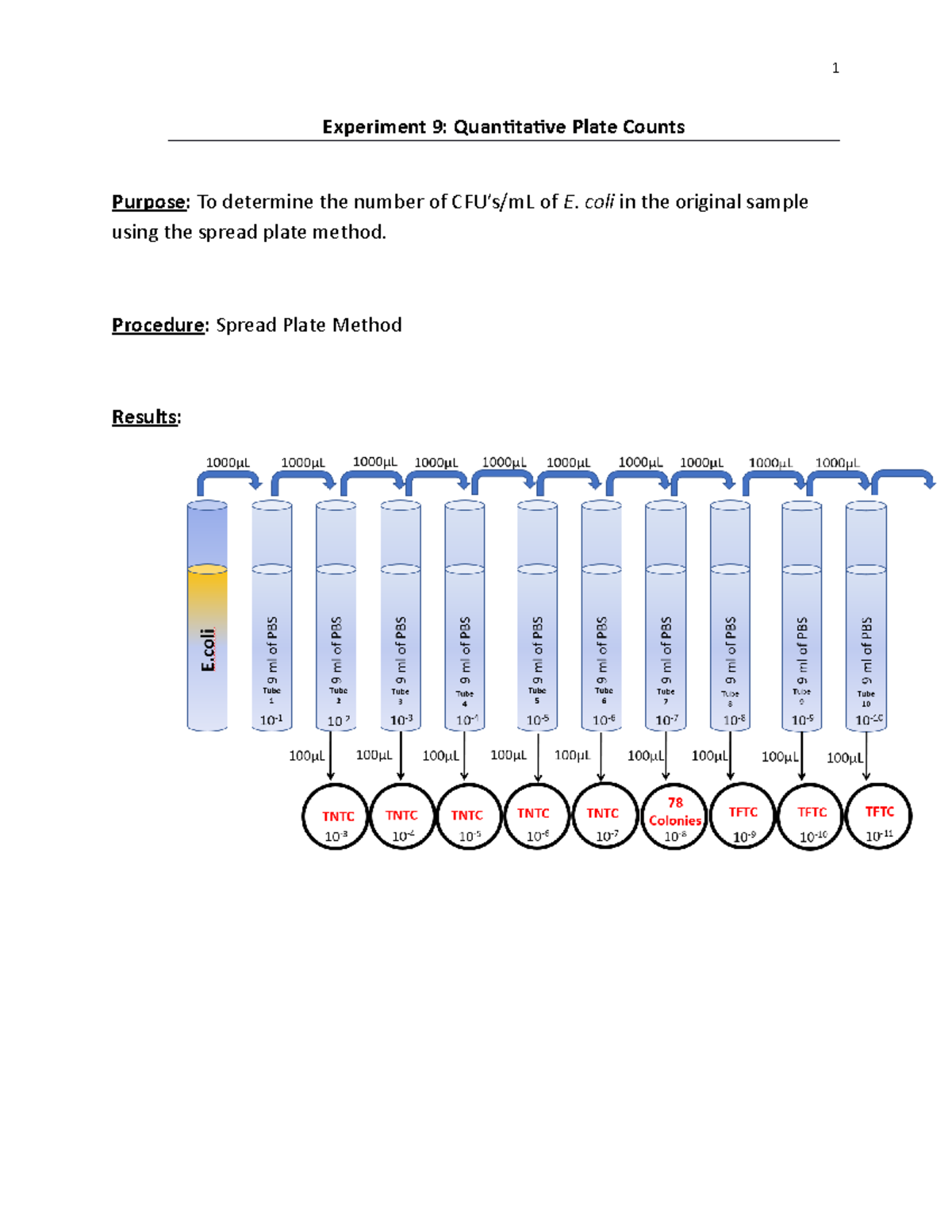 Micro Experiment 9 - Lab - 1 Experiment 9: Quantitative Plate Counts ...