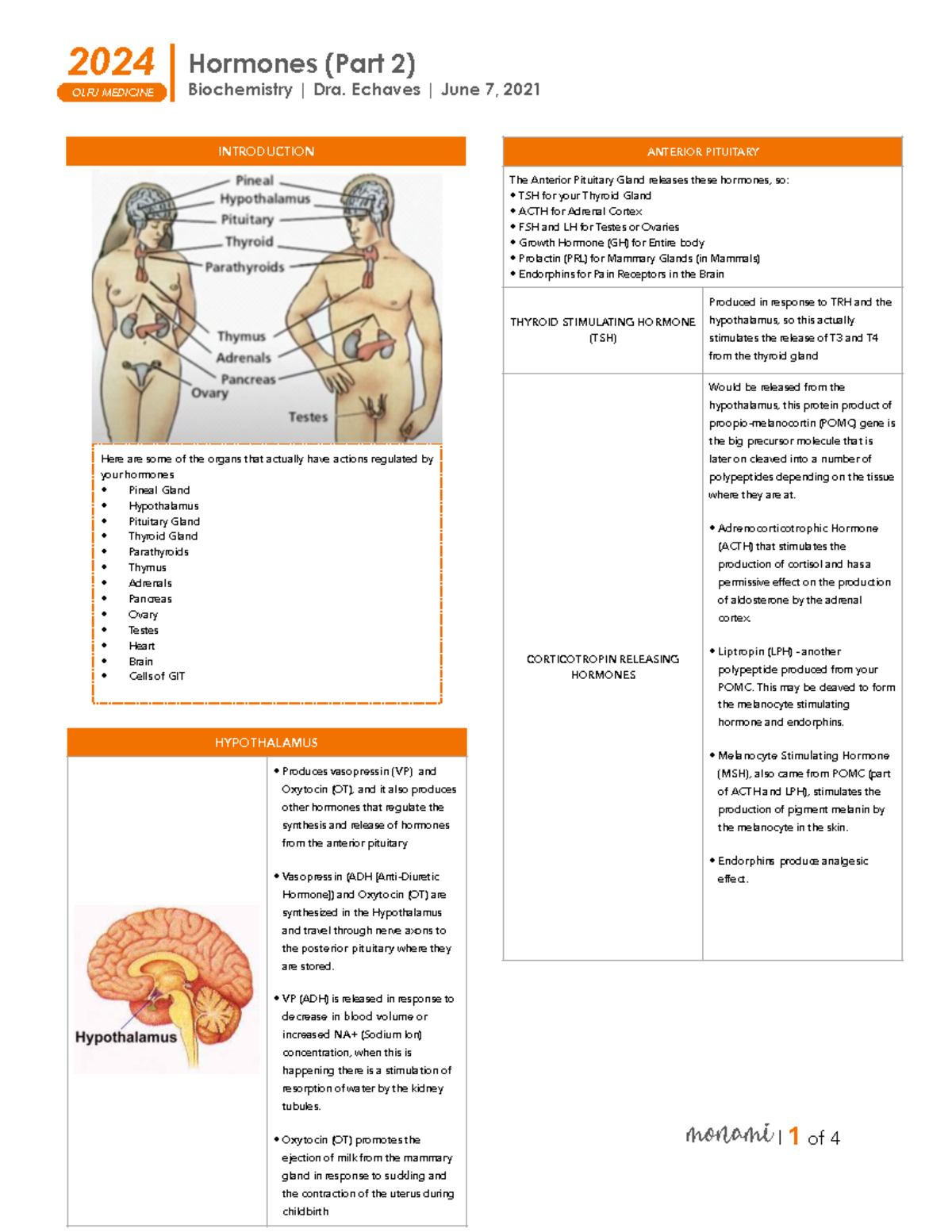 Hormones 2 - lecture - monami | 1 of 4 2024 Hormones (Part 2) OLFU ...
