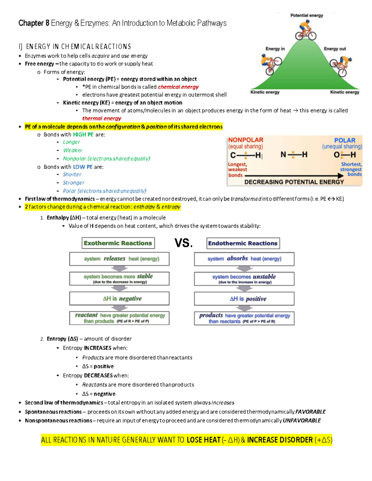 Ch. 8 Study Guide - Energy and Enzymes: An Introduction to Metabolic ...