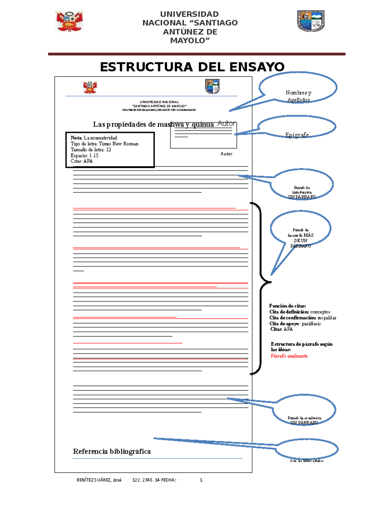 1 Estructura DEL Ensayo - UNIVERSIDAD NACIONAL “SANTIAGO ANTÚNEZ DE ...