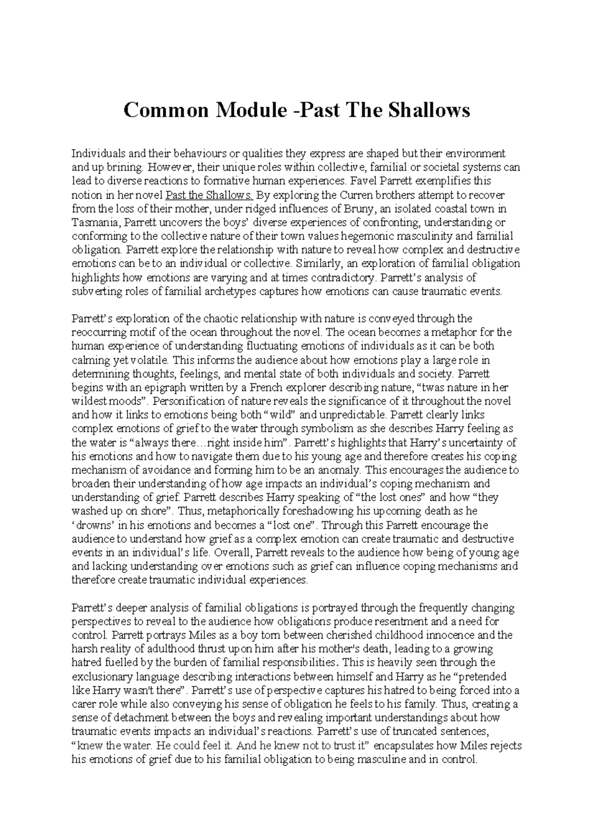 Common Module- English Standard - Past the Shallows Essay (18/20 ...