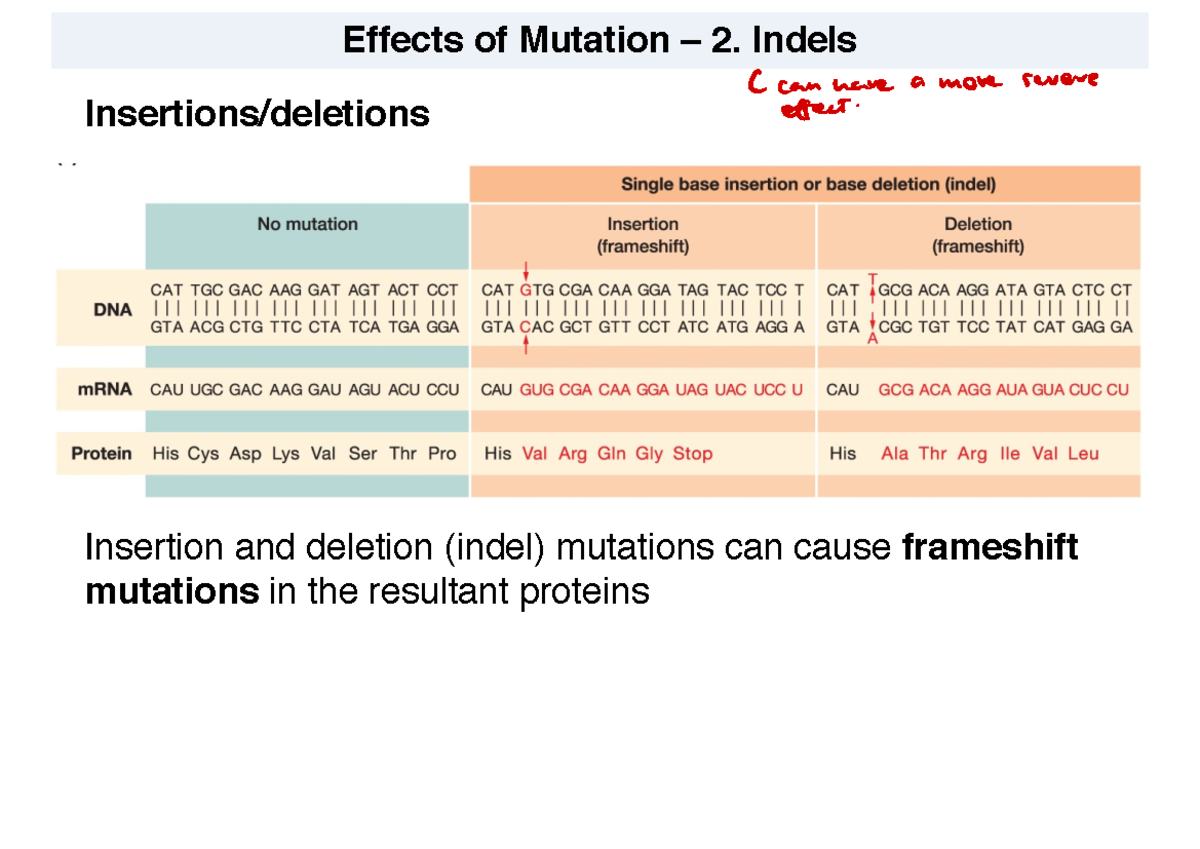 L16 mutation variation 2022 - Effects of Mutation – 2. Indels ...