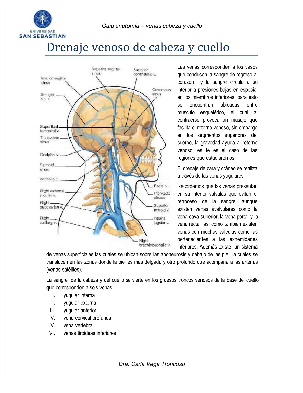 Pdf-18-drenaje-venoso-de-cabeza-y-cuello compress - Guía anatomíaGuía ...