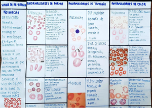 La hematología antecedentes - La hematología nace de la mano de Robert ...