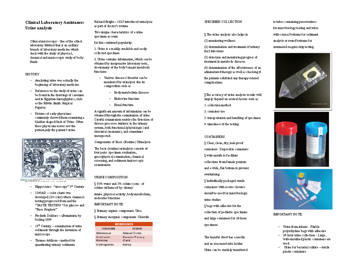 WEEK-7-clinical-microscopy urinalysis - Clinical Laboratory Assistance ...