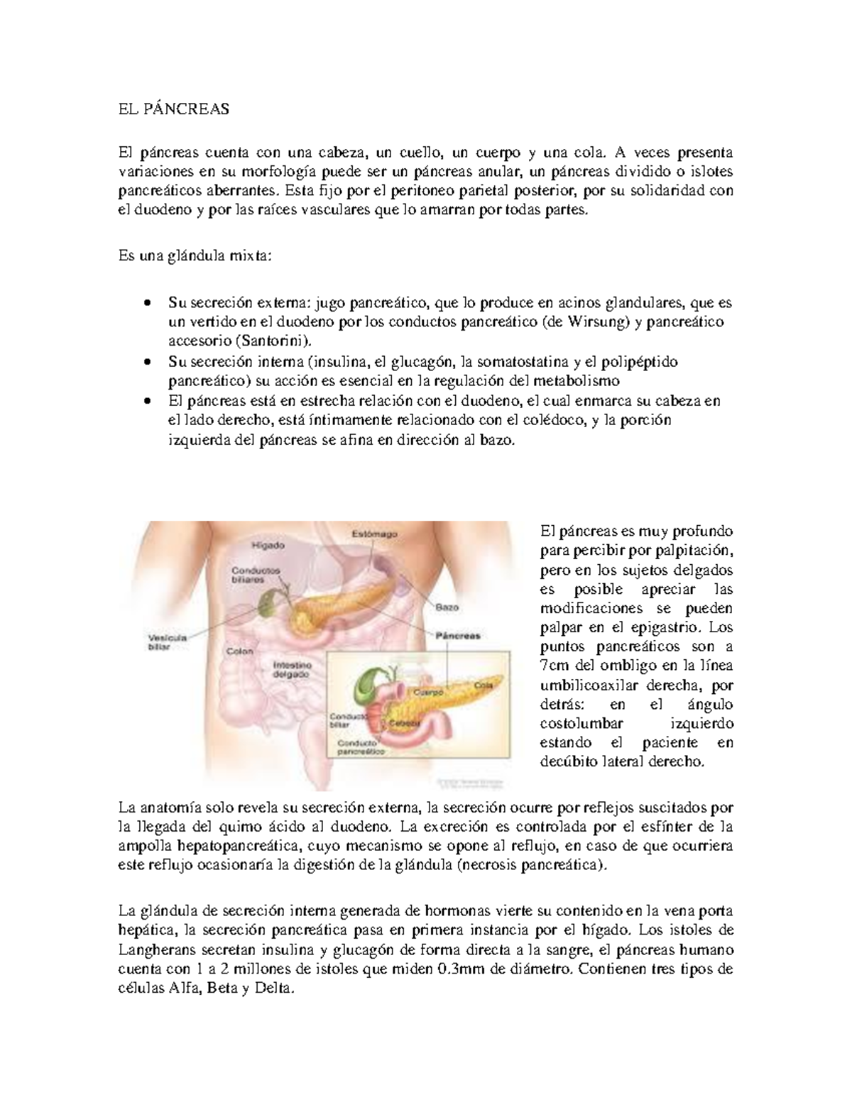 EL Páncreas - Nota: 9 - EL PÁNCREAS El páncreas cuenta con una cabeza ...