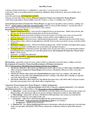 Lab 5 Key Terms - Lab notes - Lab 5 Key Terms • Myology – study of ...
