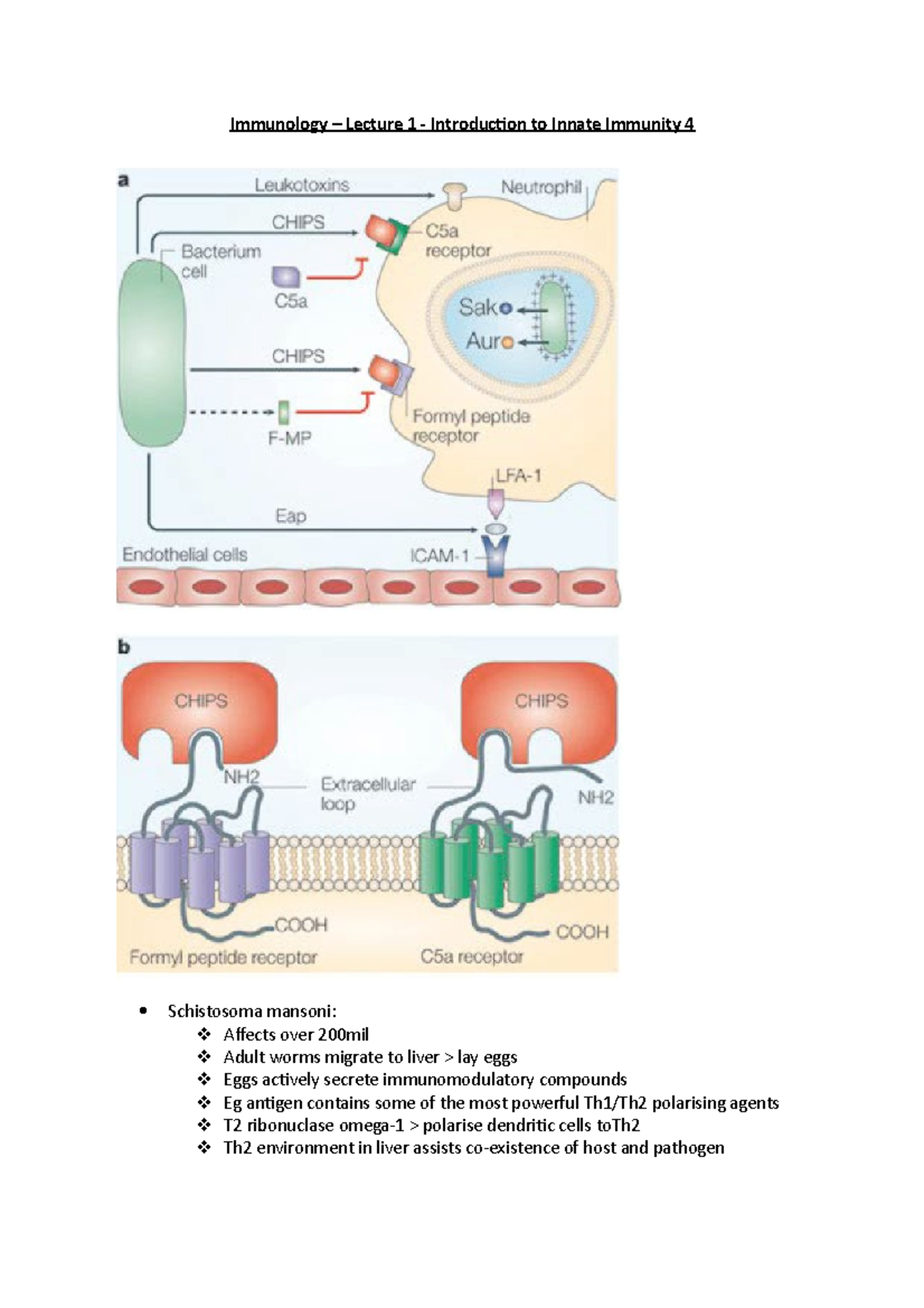 Immunology Lecture 1 Innate Immune System 4 Immunology