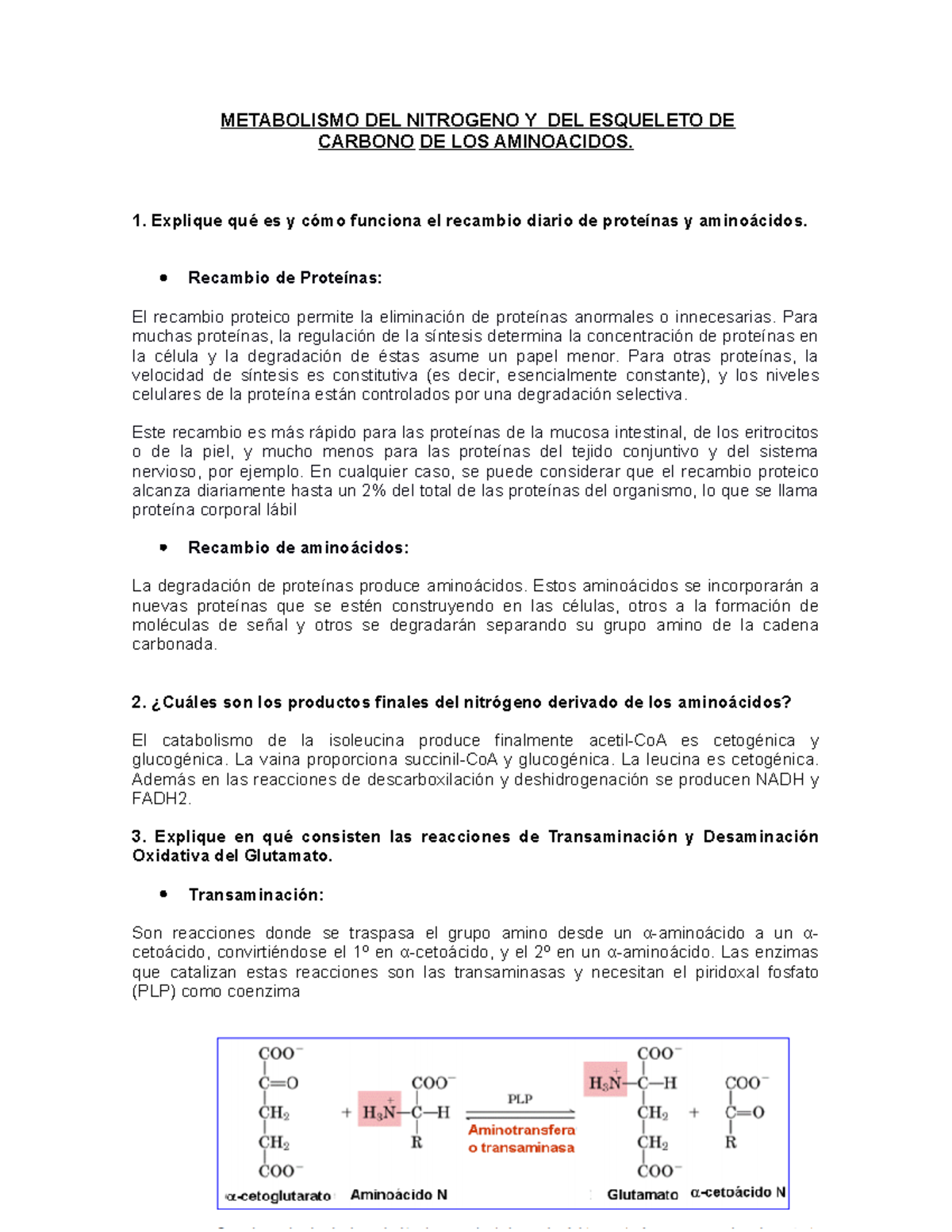 Metabolismo del Nitrógeno - METABOLISMO DEL NITROGENO Y DEL ESQUELETO DE CARBONO DE LOS ...
