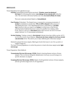 FIU - Florida International University - Studocu