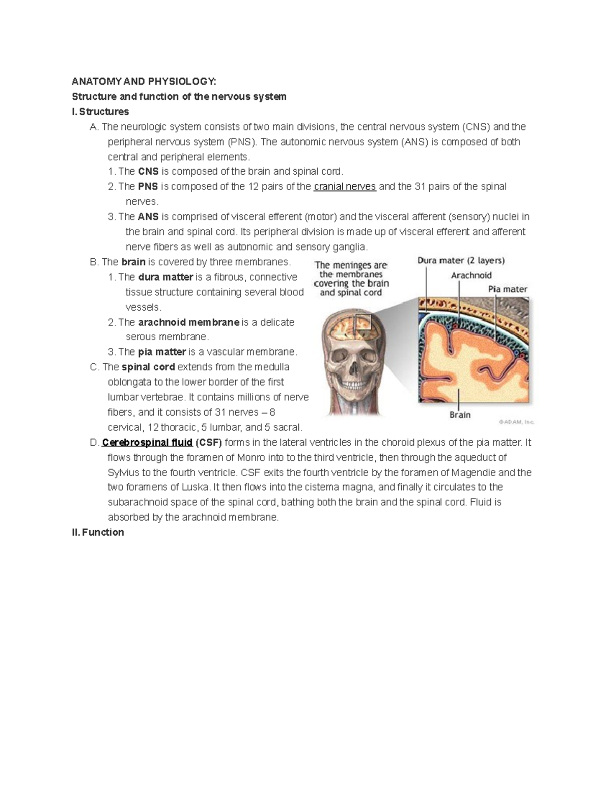 Anatomy and Physiology of the Nervous system - ANATOMY AND PHYSIOLOGY ...