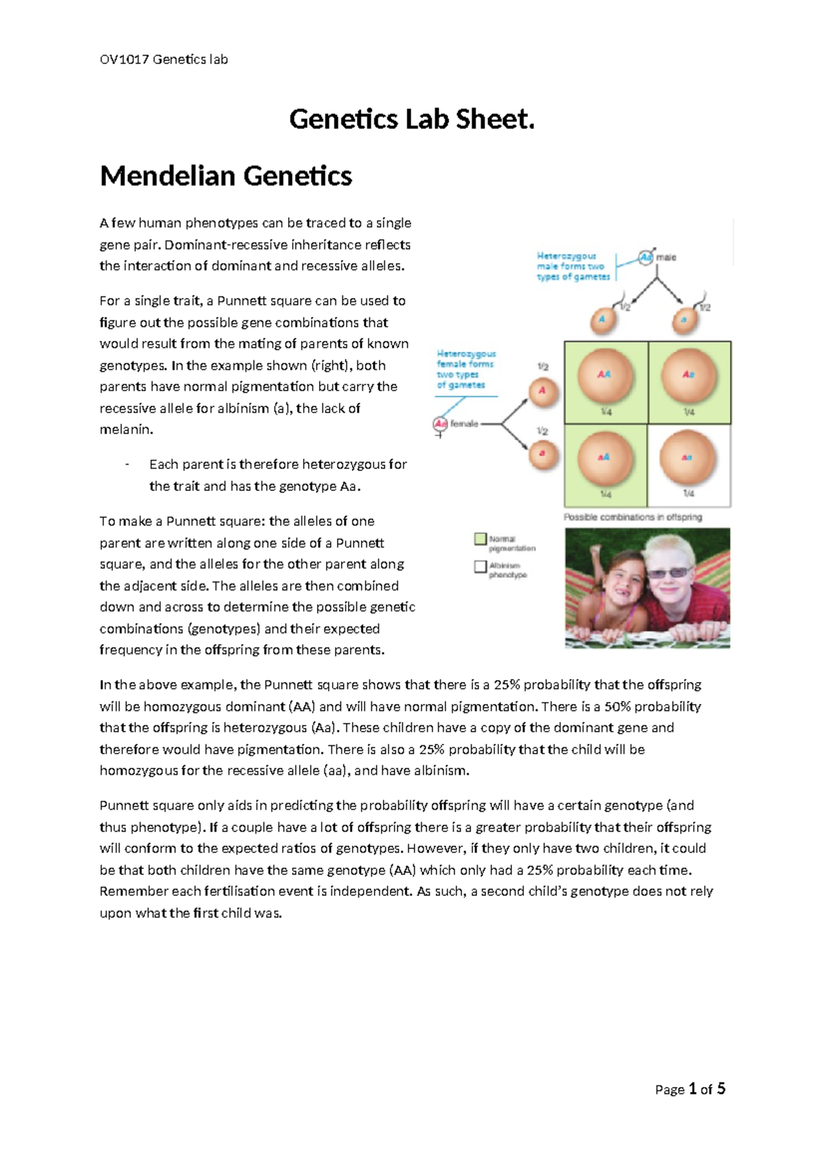Gen lab sheet OV1017 - Genetics Lab Sheet. Mendelian Genetics A few ...