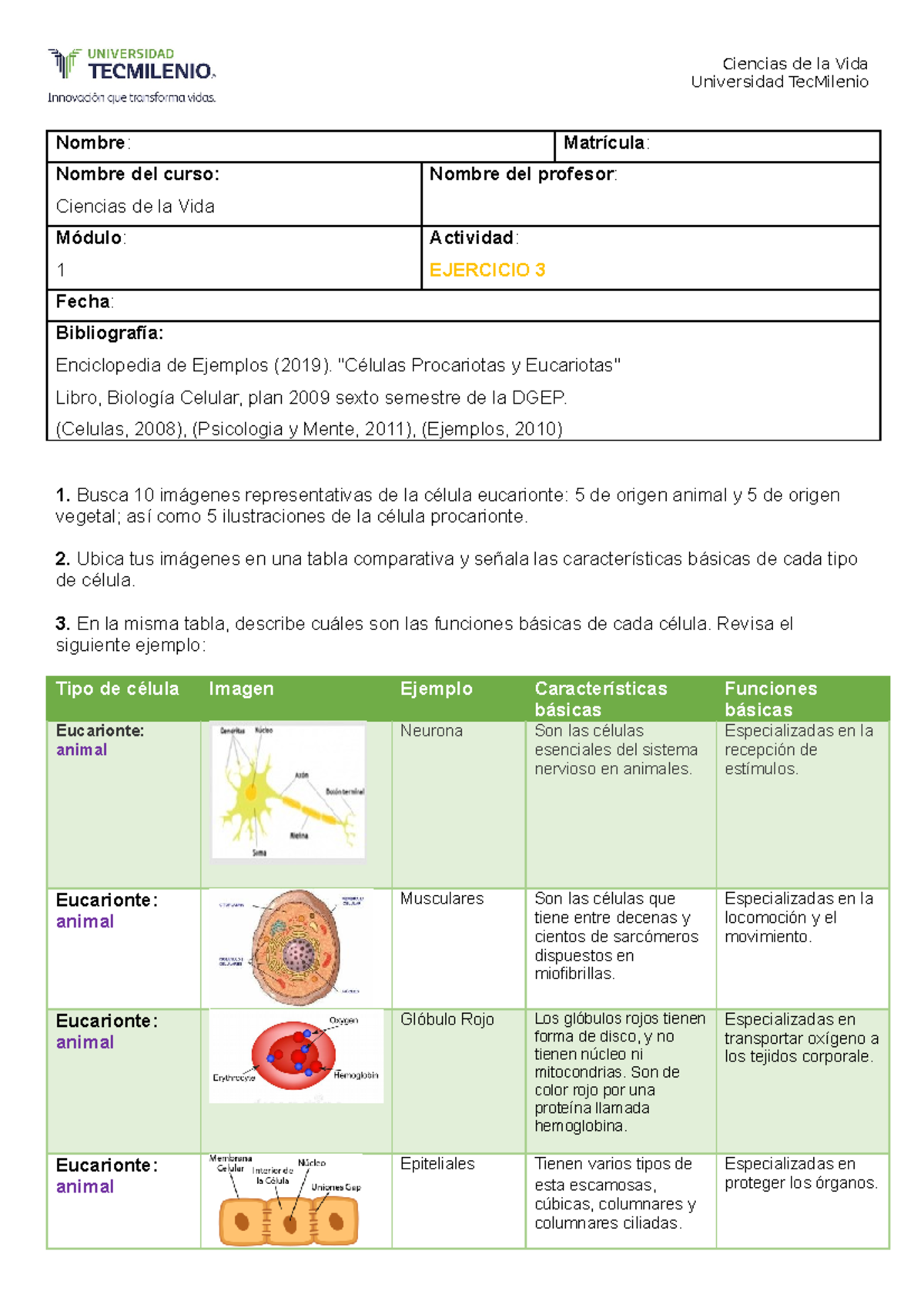 Ejercicio 3 CV - Ciencias de la Vida - Ciencias de la Vida Universidad ...