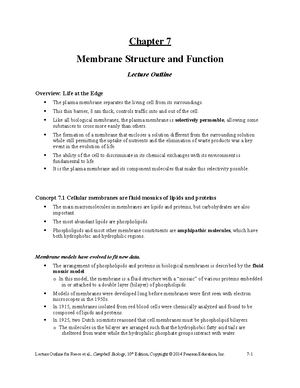 LAS-Science 8 MELC 2 Q2 Week2 - Science Activity Sheet Quarter 2 - MELC ...