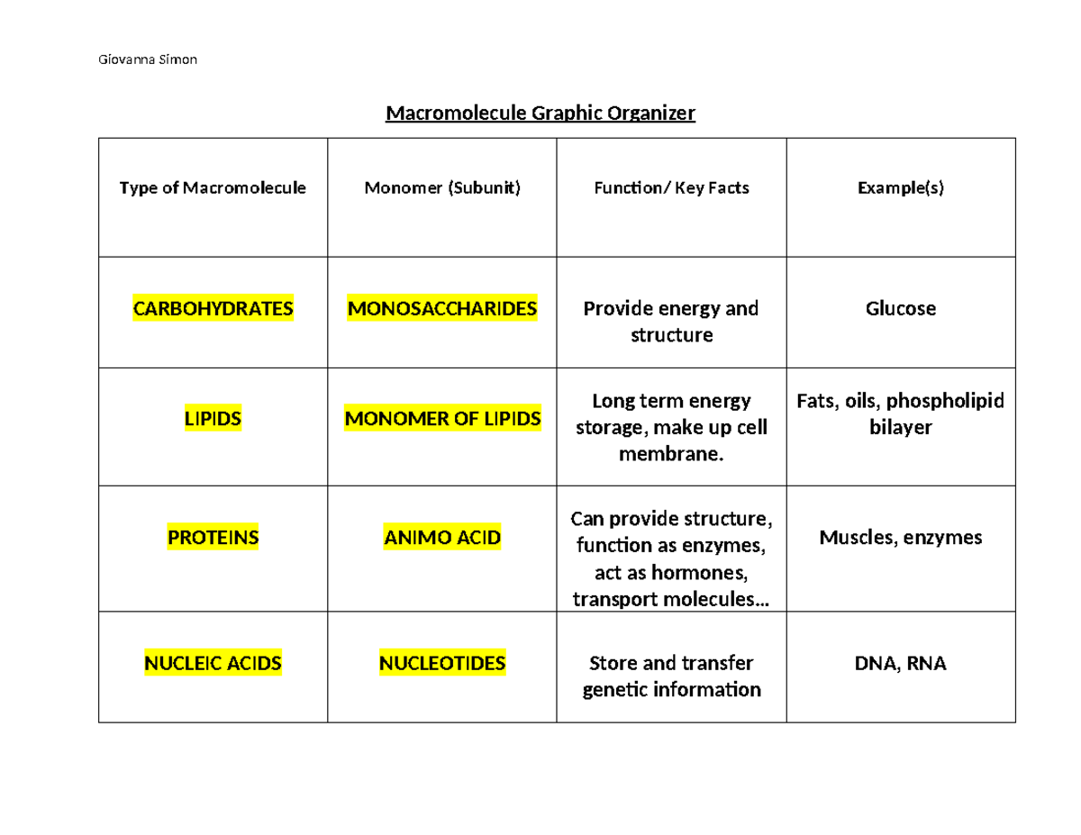 Macromolecule Graphic Organizer - Giovanna Simon - Giovanna Simon ...