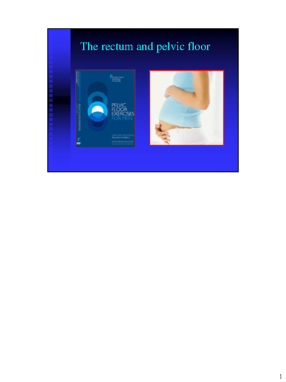 BS3595 Pelvic floor - Basics of bone physiology and anatomy - The ...