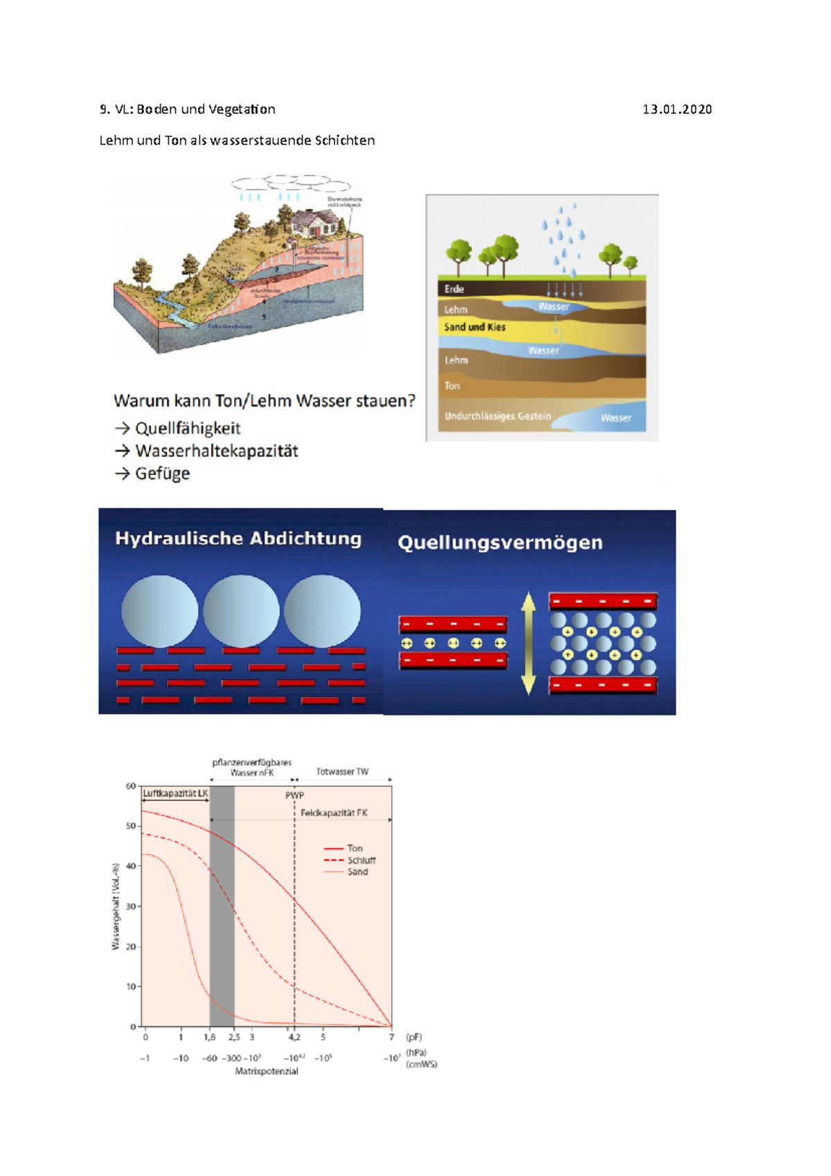 9. VL Boden und Vegetation - Lehm und Ton als wasserstauende Schichten pH beeinflusst - Studocu
