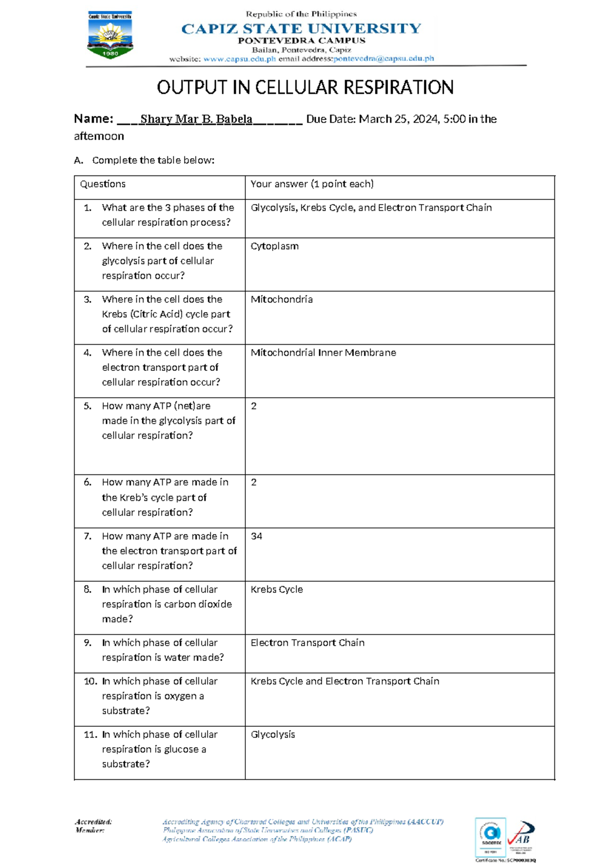 Output in Cellular Respiration - OUTPUT IN CELLULAR RESPIRATION Name