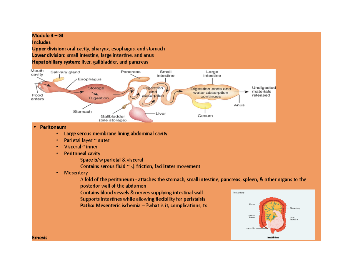 Module 3 UGI Class Notes. for pathopharm - Module 3 – GI Includes Upper ...