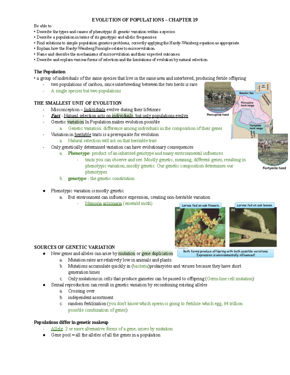 Ch.19 evolutions of populations (BIOL 112) copy - EVOLUTION OF ...