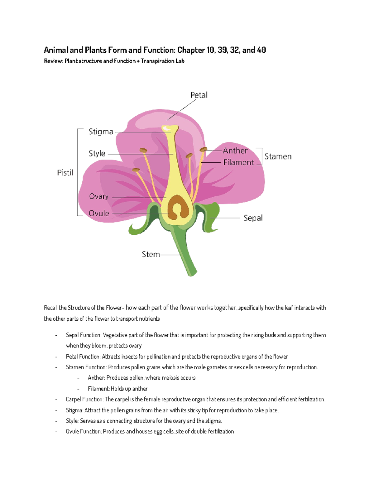Animal and Plants Form and Function Chapter 10, 39, 32, and 40 - Animal ...