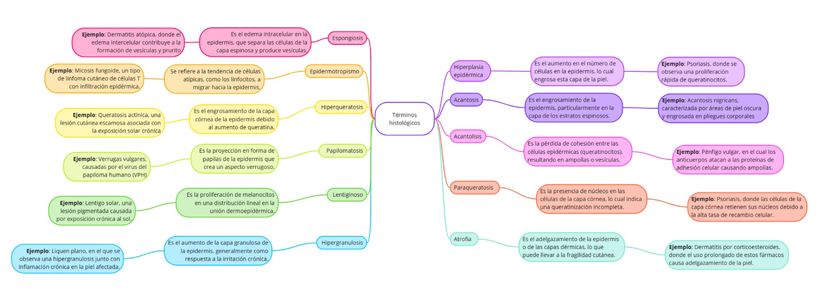 Mind Map - Tarea semana 11 - Ejemplo: Dermatitis atópica, donde el Es el edema intracelular en ...