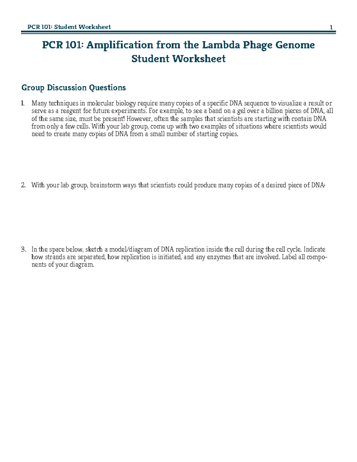 M6001 PCR 101 Student Worksheet - PCR 101: Amplification from the Lambda Phage Genome Student ...