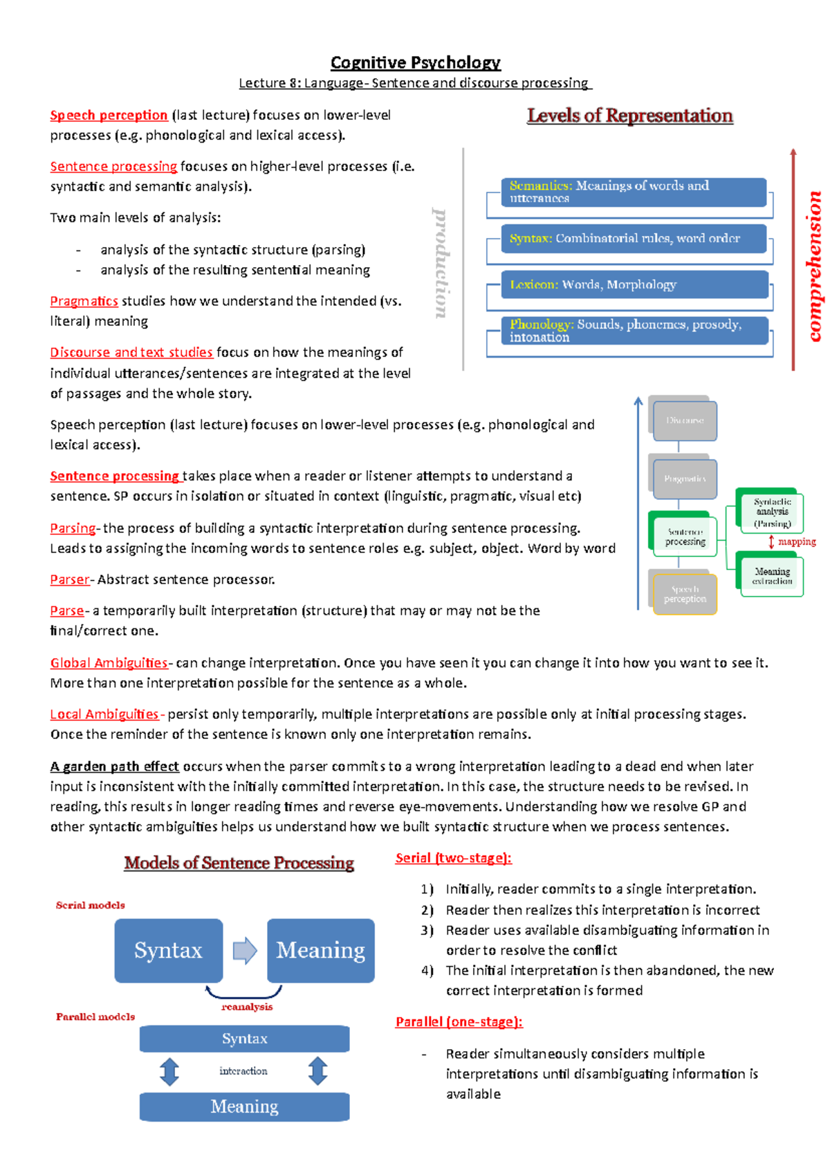 Lecture 8 Cognitive Psychology Lecture 8 Language Sentence And Discourse Processing Speech