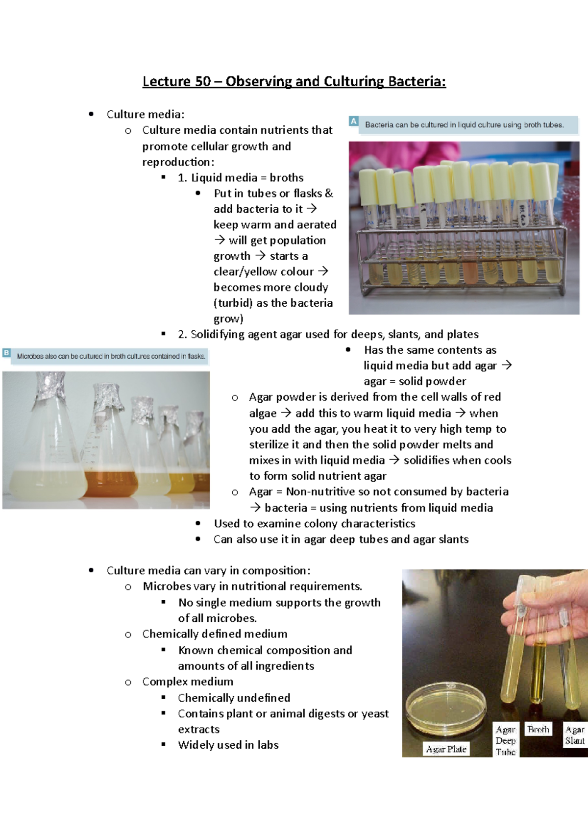 Lecture 50 – Observing and Culturing Bacteria - Lecture 50 – Observing ...