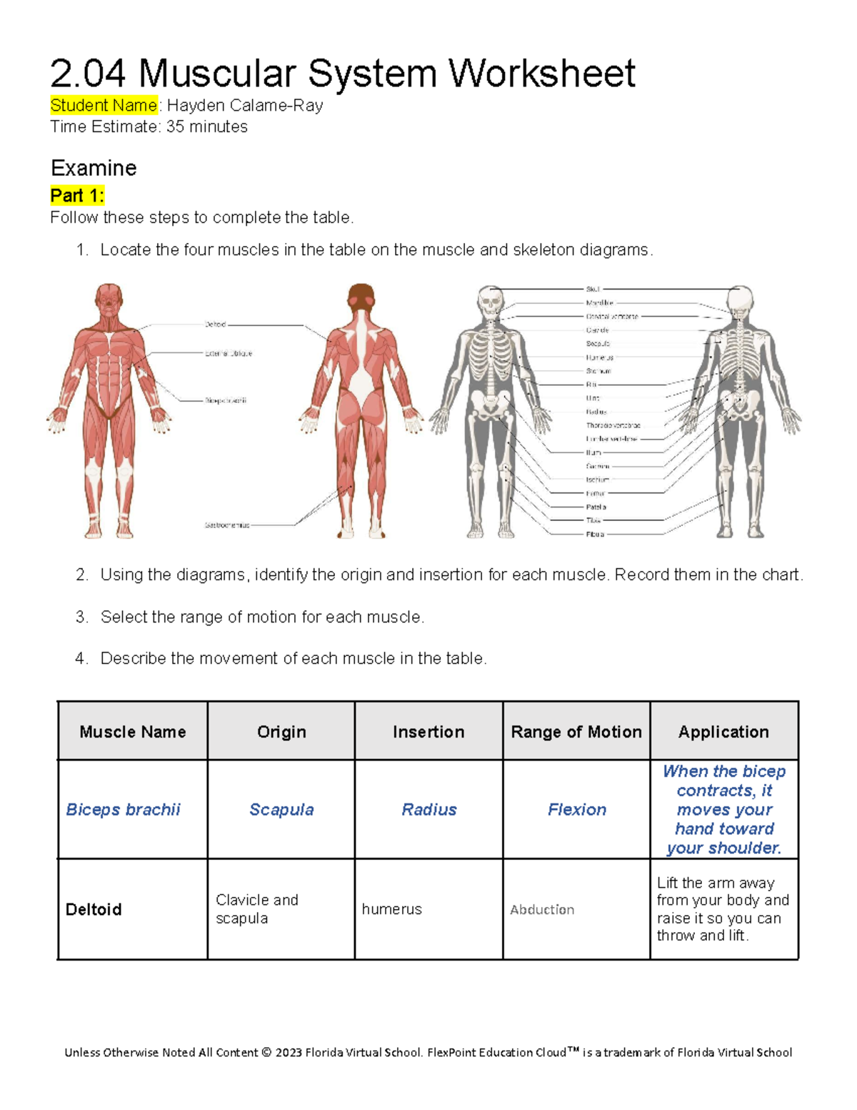 2.04 muscular system worksheet - 2 Muscular System Worksheet Student ...