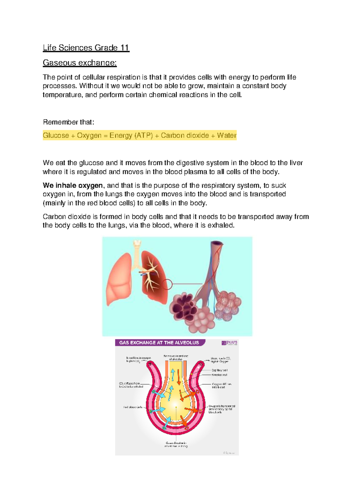 Gr 11 LS Gaseous exchange and Lungs - Life Sciences Grade 11 Gaseous ...
