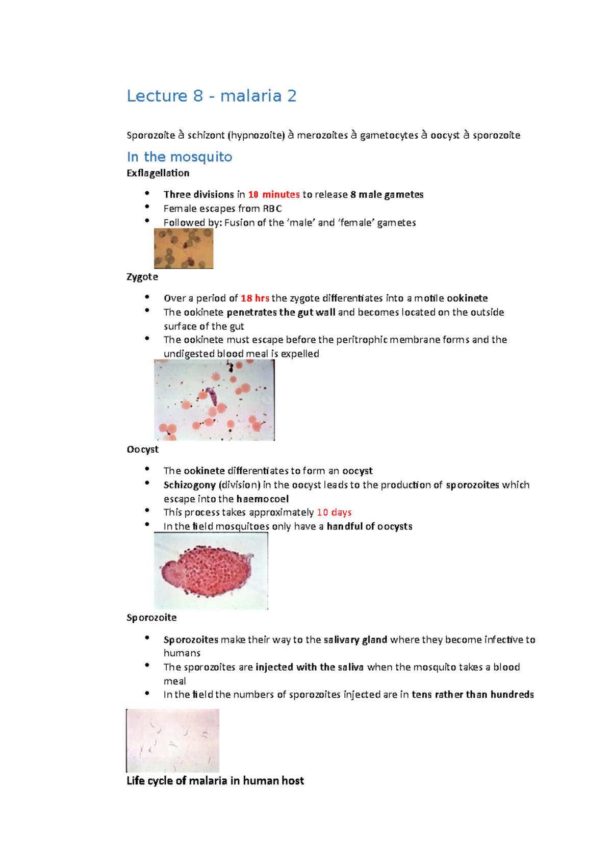 L8 - Malaria 2 - Lecture notes 8 - Lecture 8 - malaria 2 Sporozoite à ...
