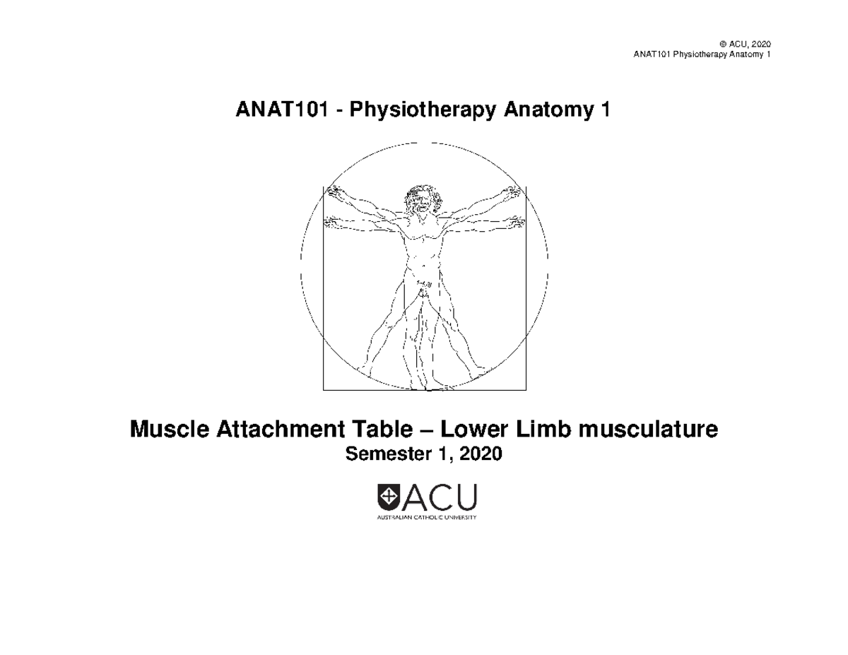 ANAT101 Attachment table LL 2020 - ANAT101 Physiotherapy Anatomy 1 ...