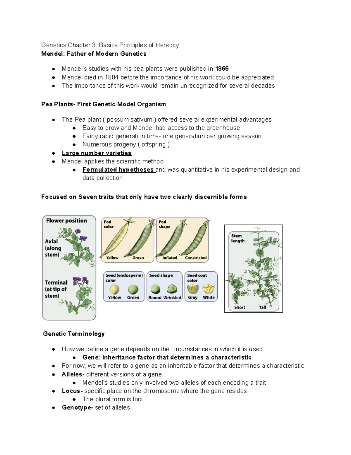 Genetics Chapter 3 Notes - Genetics Chapter 3: Basics Principles of ...