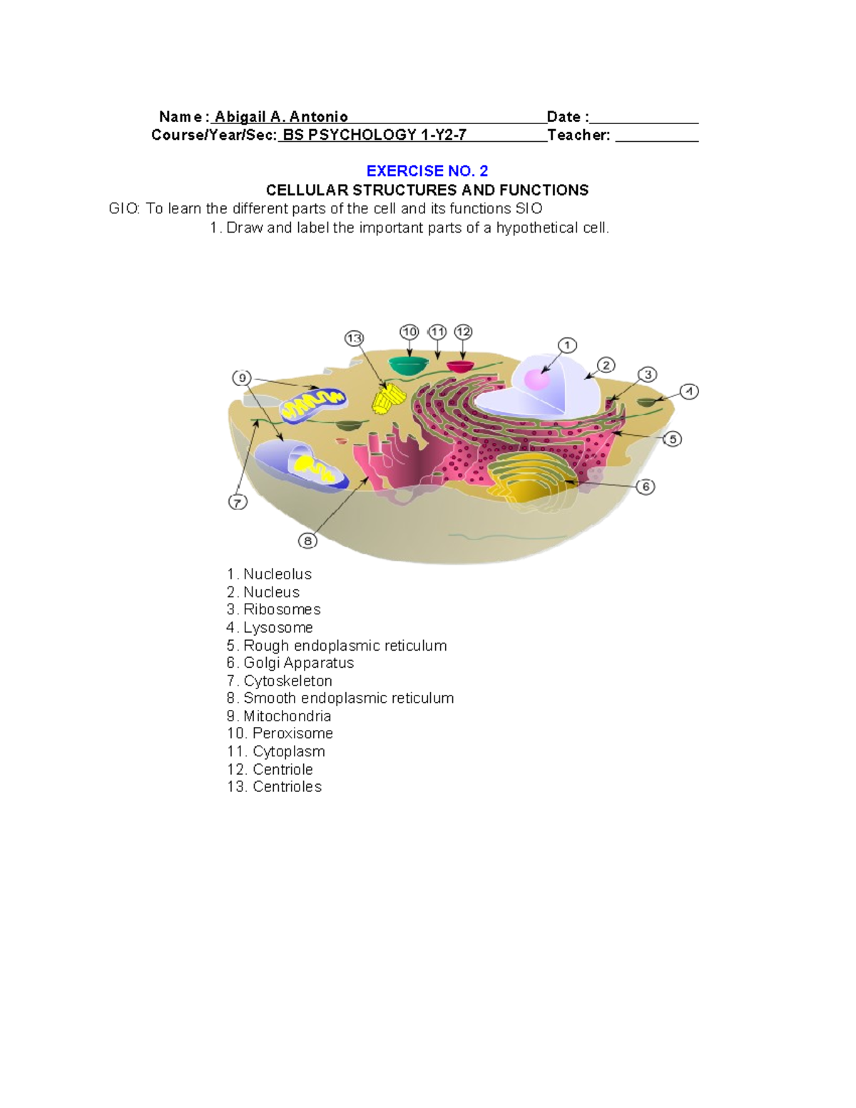 LAB Exercise Cell Structures and Functions - Name : Abigail A. Antonio ...