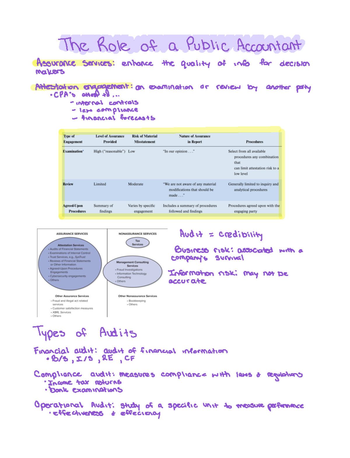 Chap 1 - Rose Hu - The Role of a Public Accountant Assurance services ...