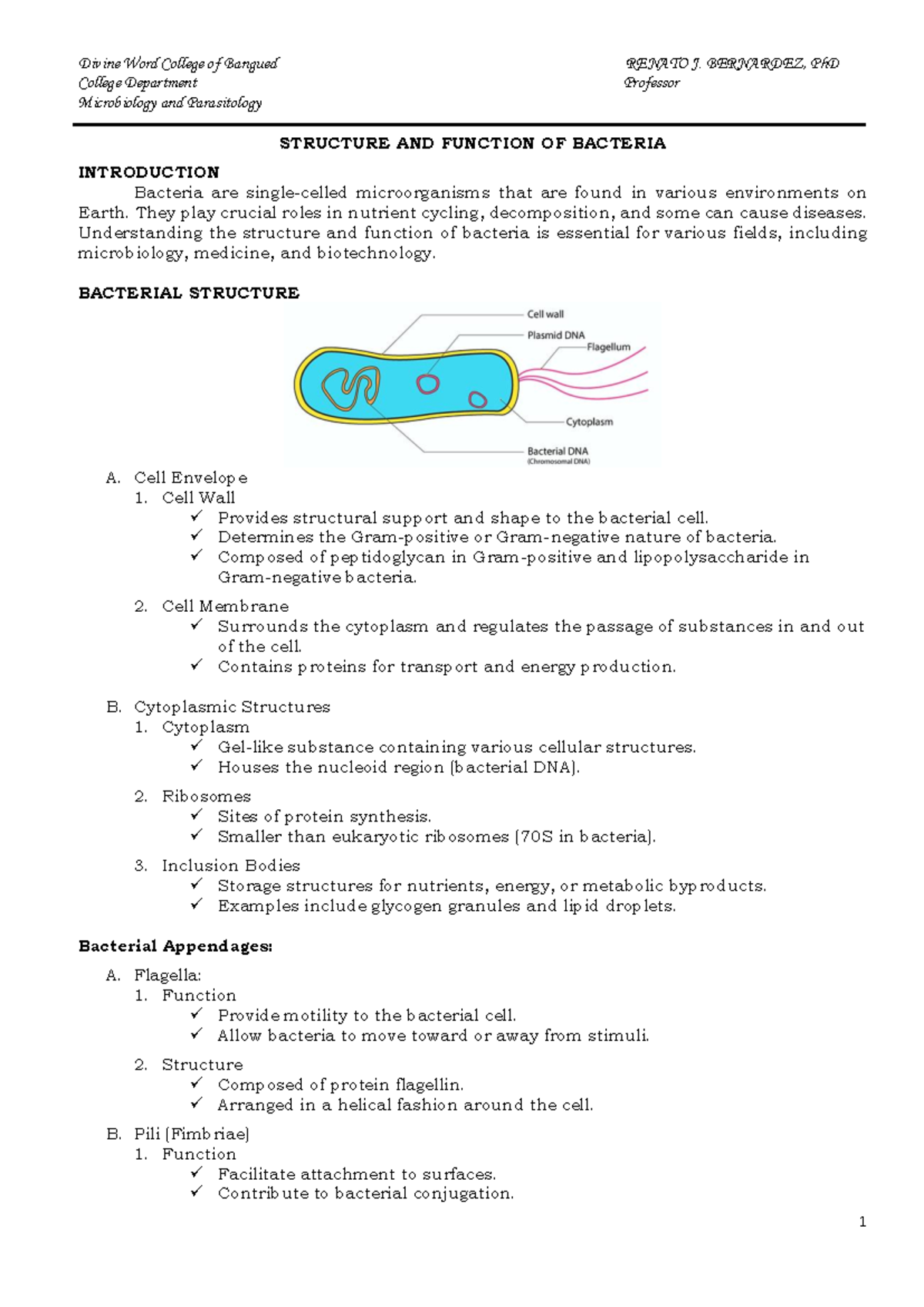 Structure AND Function OF Bacteria - College Department Professor ...