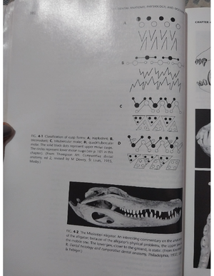 20221113 2005 44 - Forensic comparative anatomy, geometries, and form ...